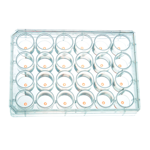 Cell Culture Treated Microplates, 24 Well, Clear, Sterile, Individuall ...