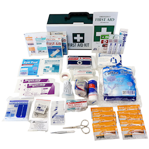 Livingstone Family First Aid Kit, Complete Set In Recyclable Plastic C ...