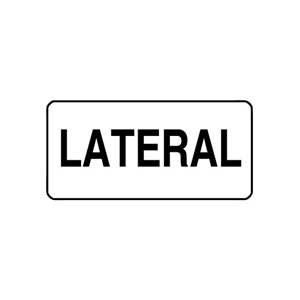 "LATERAL" - X-RAY LABEL 500/BOX Box | Livingstone International