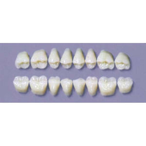 MYERSON DURA POST UPPER #30U/58 8/CARD Card | Livingstone International