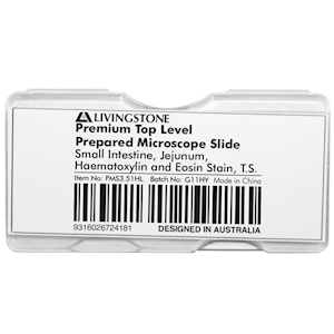 Livingstone Premium Top Level Prepared Slide, Small Intestine, Jejunum ...