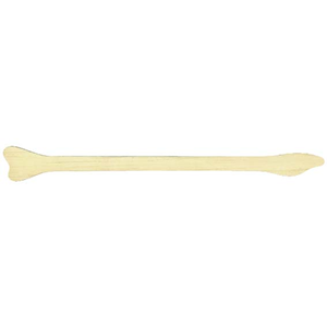 Livingstone Cervical Scraper (Cervical Spatula), Ayers Broad End, Biod ...