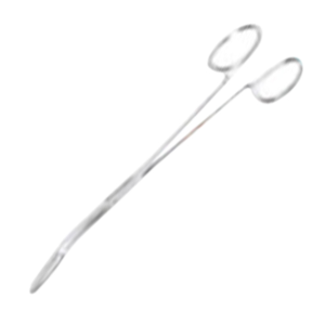 Gross-Maier Dressing Forceps, 175mm, Straight, Each Each | Livingstone ...